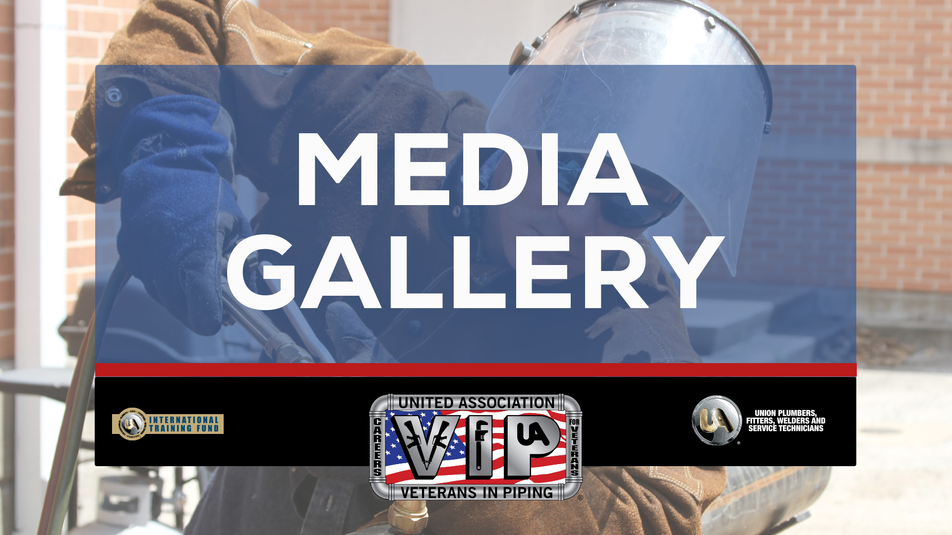 Union Trade Media Gallery - UA VIP